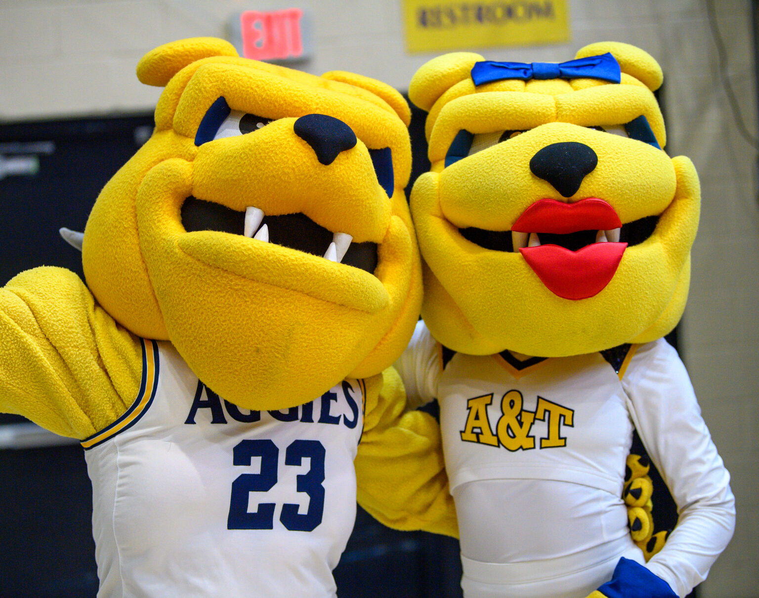 Aggie Athletic Foundation – AggieDo!